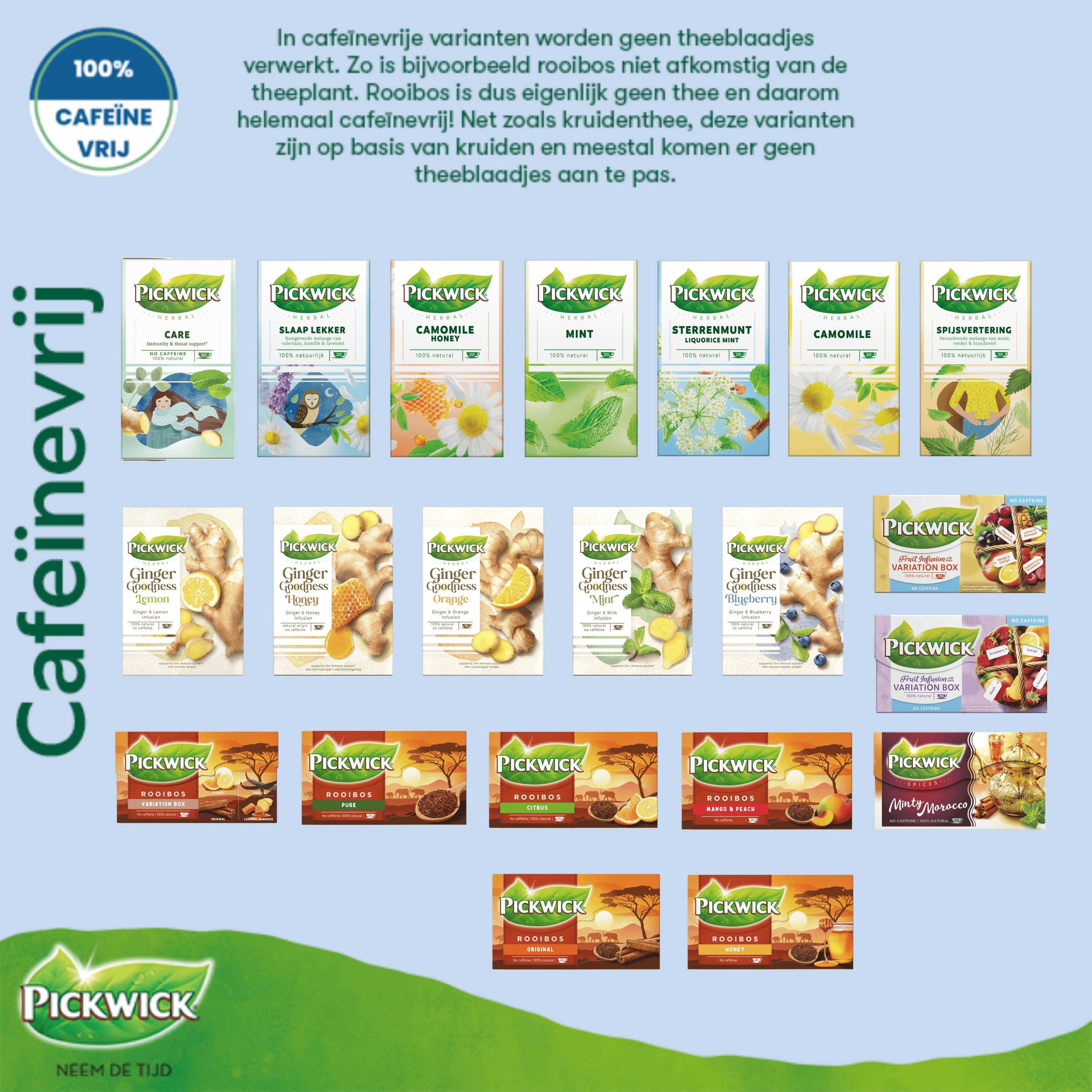 Pickwick thee zonder cafeïne | Pickwick NL