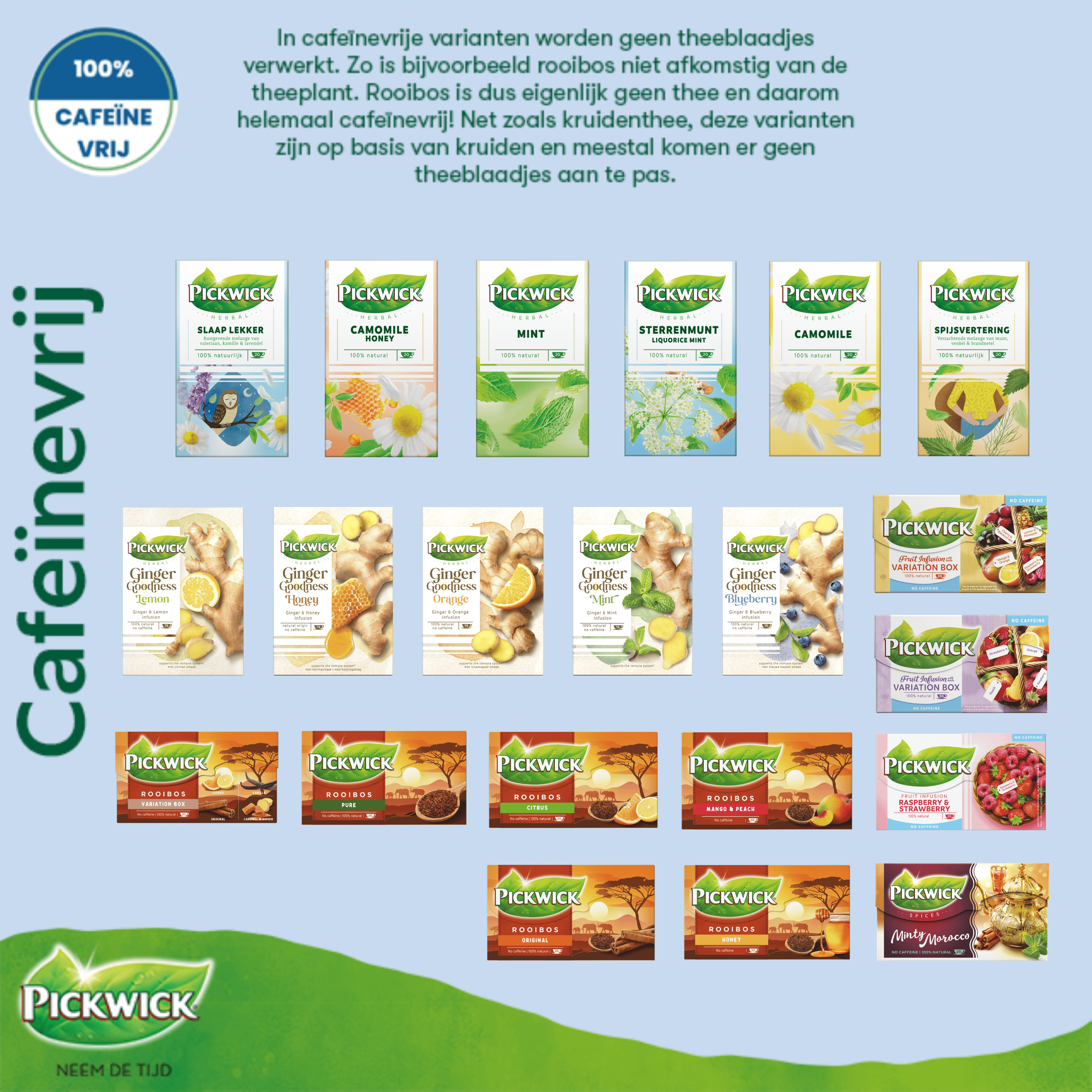 Pickwick thee zonder cafeïne | Pickwick NL
