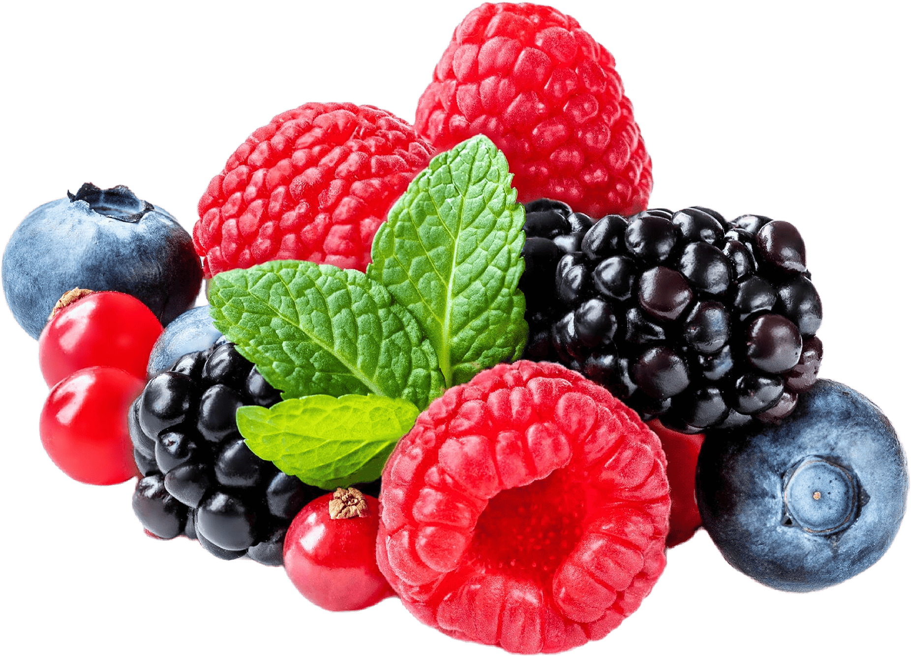 Fruit bosvruchten thee | Pickwick NL